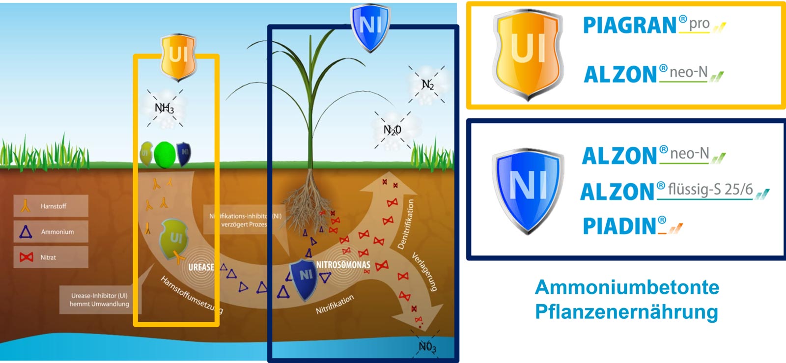 Fachberater Nordrhein-Westfalen, Rheinland-Pfalz, Hessen, Saarland
